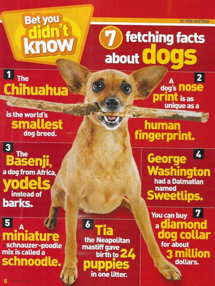 National Geographic Kids Magazine Special Ocean Issue Dolphins Dog ...