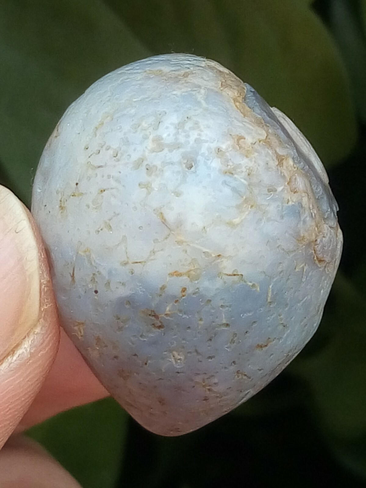 32mm Natural Gobi agate eye agate stone Suiseki-viewing collection ...