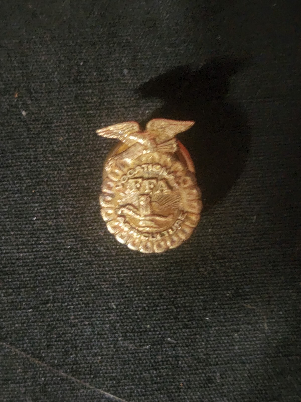 Vintage Future Farmers of America FFA Pin Vocational Agriculture | eBay