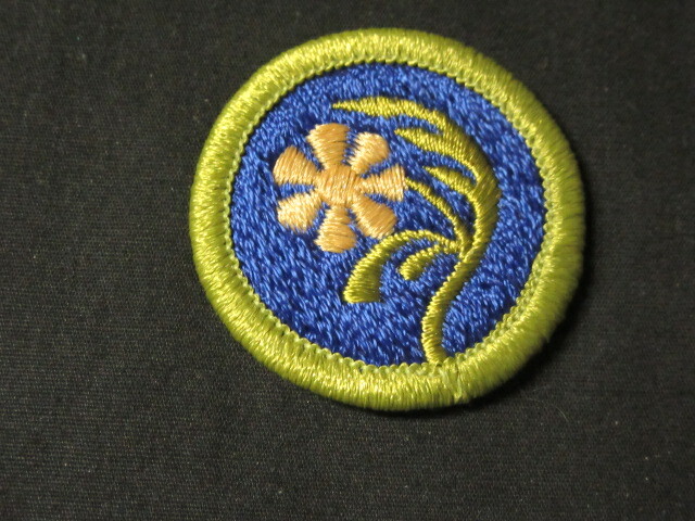 Botany Boy Scout Merit Badge Blue Waffle Plastic Back c22 | eBay