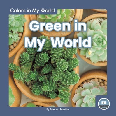 Colors in My World: Green in My World by Rossiter, Brienna [Paperback ...