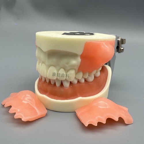 Dental training teeth Preparation Model Incision and drainage model | eBay