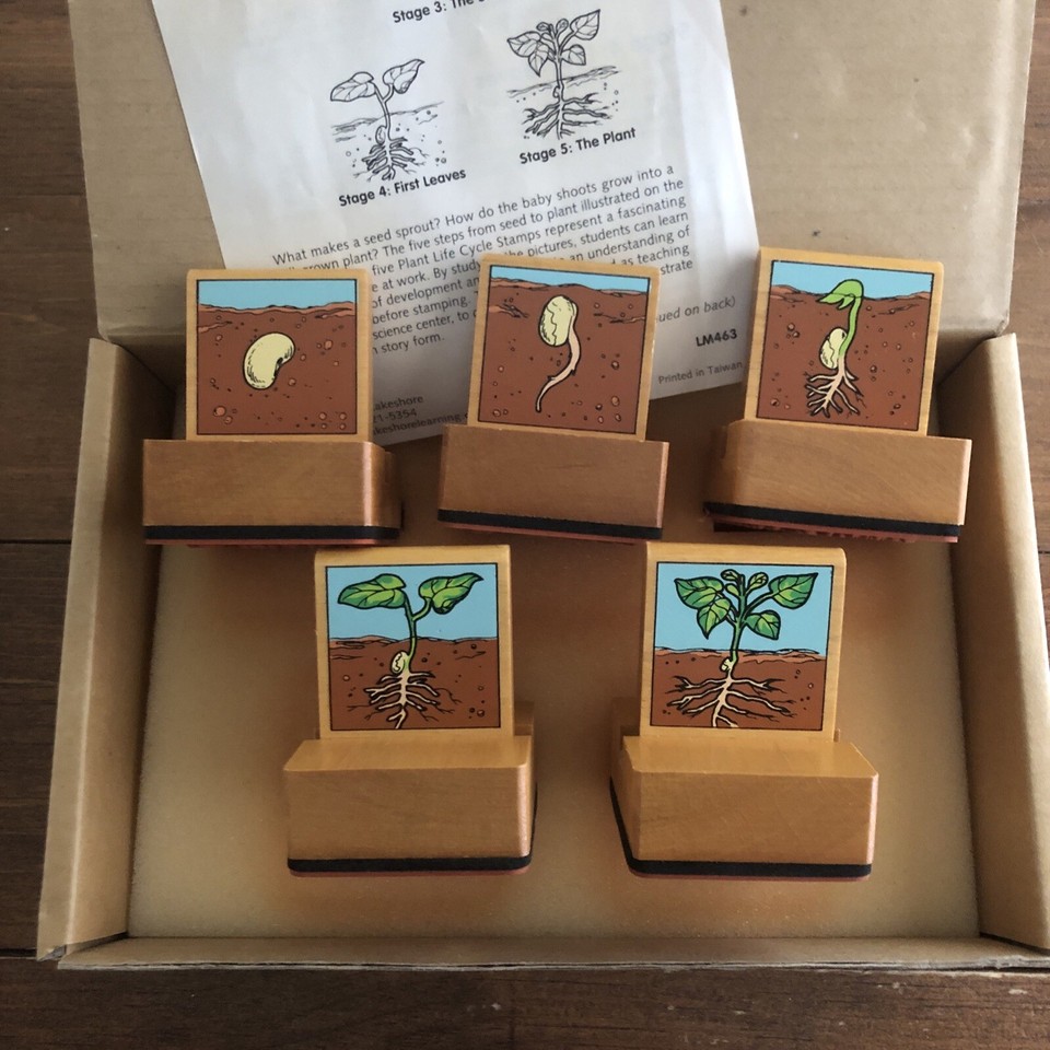 Lakeshore Plant Life Cycle Stamps Nature Science Homeschool Preschool ...