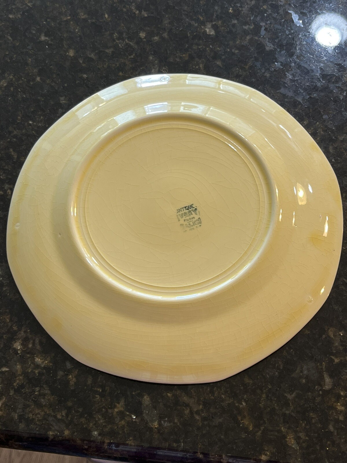 Dinner Plates Cups Saucers Yellow Bird of Paradise Set 18 Antique Ivory ...