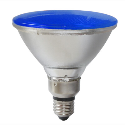 Blue PAR38 12W LED Light Bulb - 20826 | eBay Australia