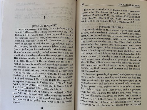 Vines Expository Dictionary (bible) of old and new Testament Words. W,E ...