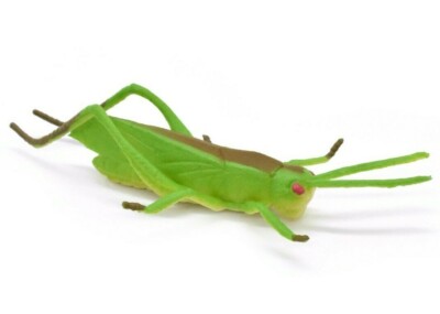 Grasshopper, Rubber Insect, Toy, Realistic Figure, Model, Kids 3.25 ...