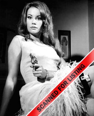 JAMES BOND THUNDERBALL GIRL Claudine Auger as Domino 8x10 PHOTO #7266 ...