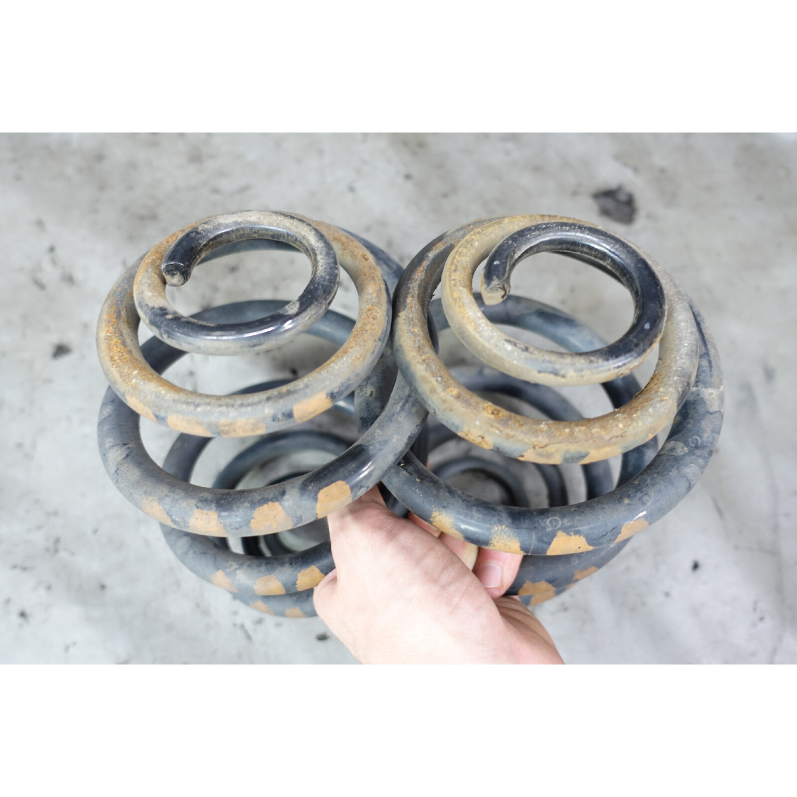 98-02 BMW Z3 M Roadster Factory Rear Axle Coil Barrel Spring Pair Left Right OEM | eBay