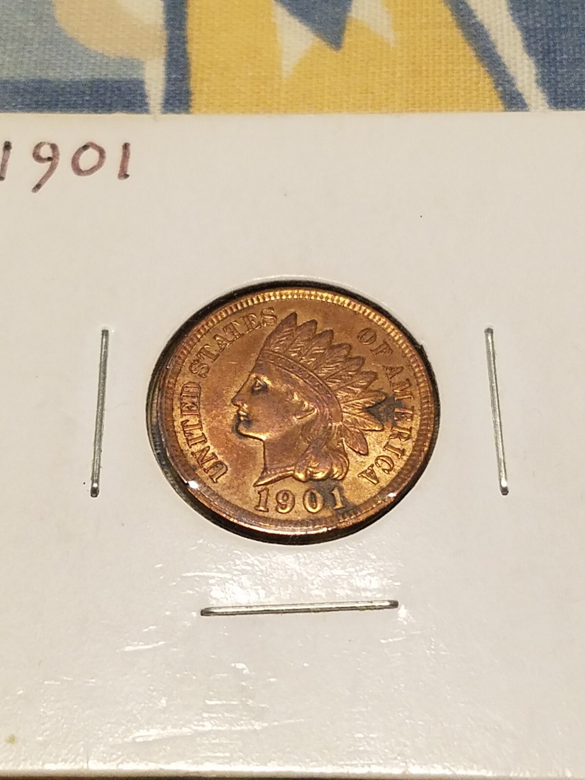 1901 Indian Head Penny Cent Almost Uncirculated AU Red | eBay