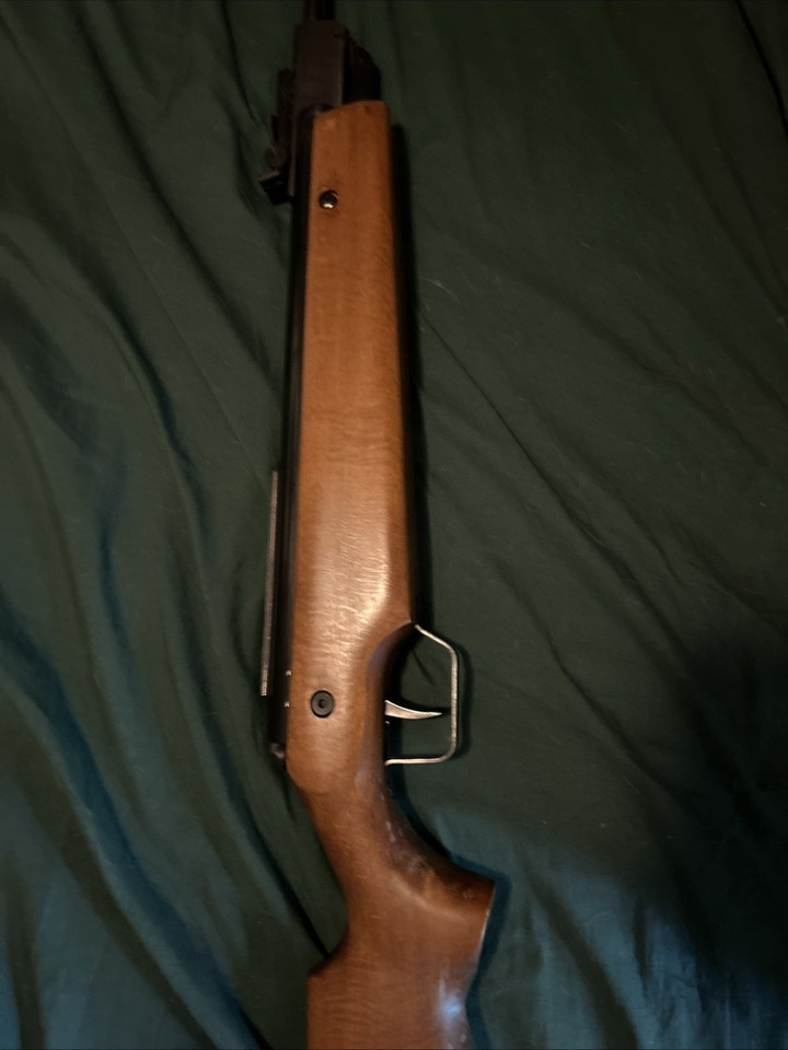 RWS Diana model 45 | eBay