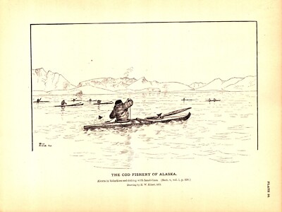 ALEUTS, BIDARKIES, COD-FISHING, ALASKA Antique authentic engraving 1887 ...