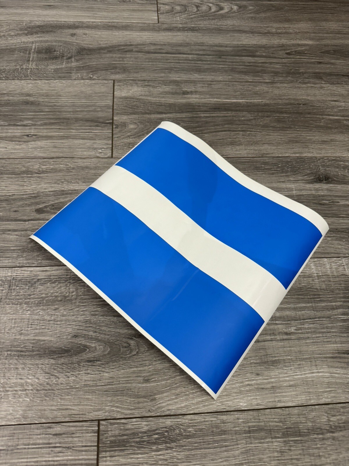 Chevrolet Corvette C8 Stingray Eray Z06 engine bay Vinyl strut covers ...
