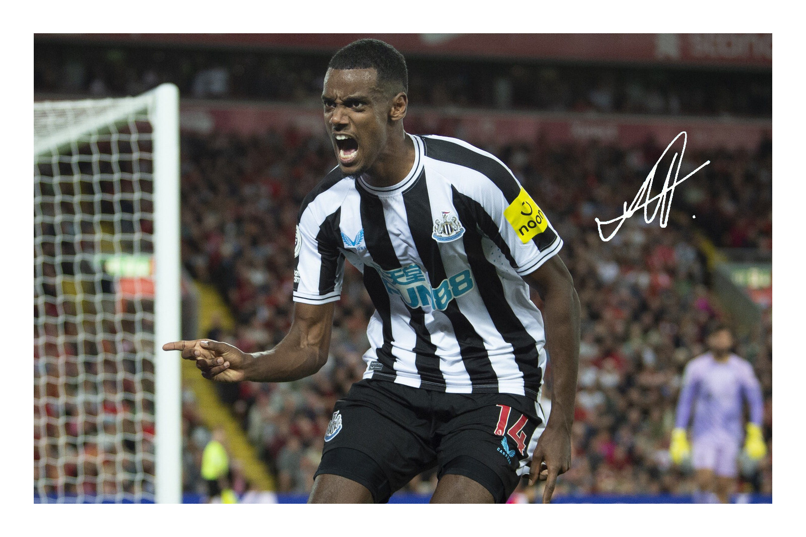 Alexander Isak Signed Autograph Photo Print Newcastle United A4 Poster ...