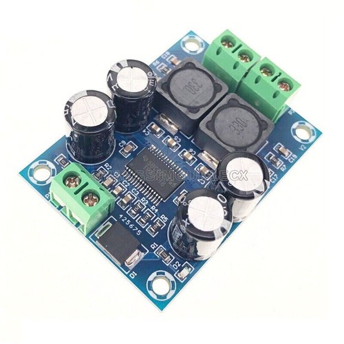 TPA3118 Mini Digital Audio Amplifier Board 60W Mono Class D Audio Board- | eBay