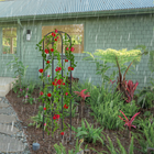 1.9M Steel Garden Arch Rose Plant Climber Support Obelisk Outdoor Frame ...