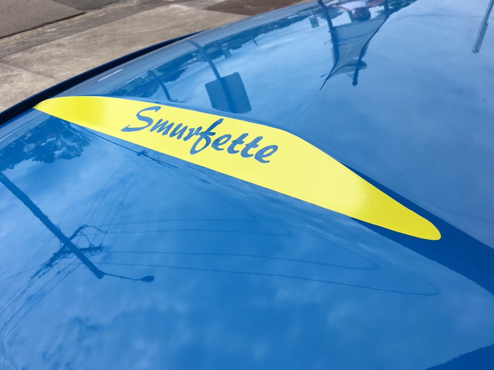 BONNET BULGE DECALS for FORD BA/BF XR8/GT/FPV ANY COLOUR | eBay Australia