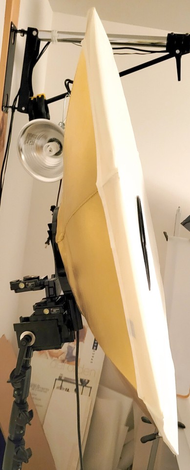 Paul C Buff Alien Bees ABR800 Ringflash w/Soft Box & Access. | eBay