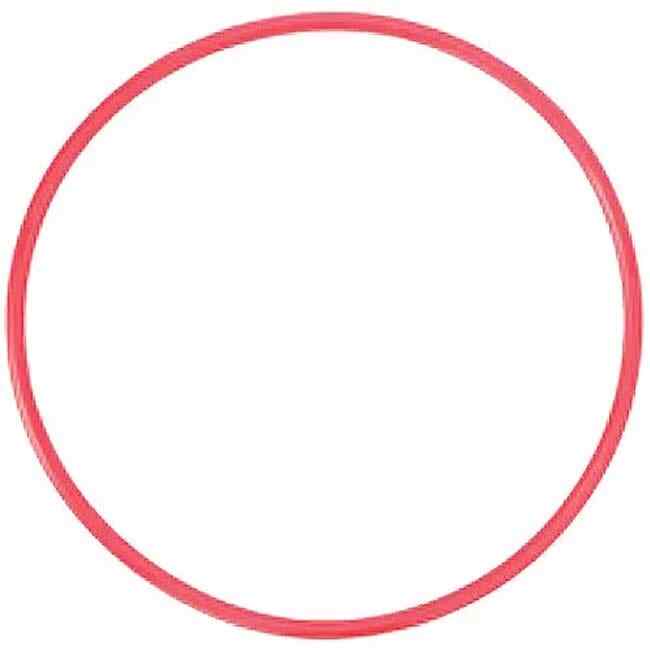 Olympus POL-EP14 O-Ring for PT-EP14 | eBay