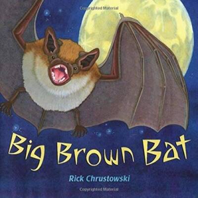 Big Brown Bat - Paperback By Chrustowski, Rick - GOOD | eBay