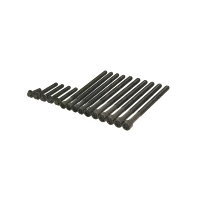 N20B20 Cylinder Head Bolt 11122165470 (x4)+11122212157 (x10) 81055900 ...