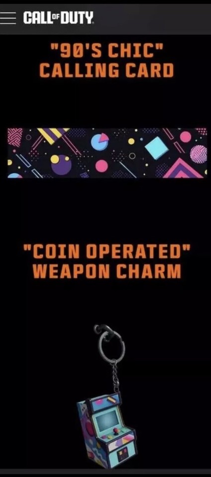 ULTRA RARE Call Of Duty Black Ops 6 x EE - Hella Chill Operator Bundle ...