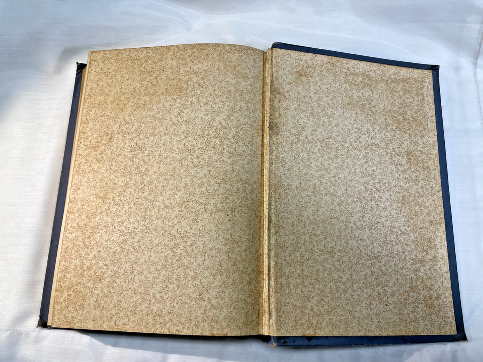 Character Sketches book by George Lofton illustrated 1890 first edition ...