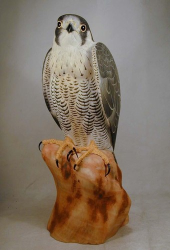 Life Size Peregrine Falcon Hummingbird Original Wood Carving | eBay