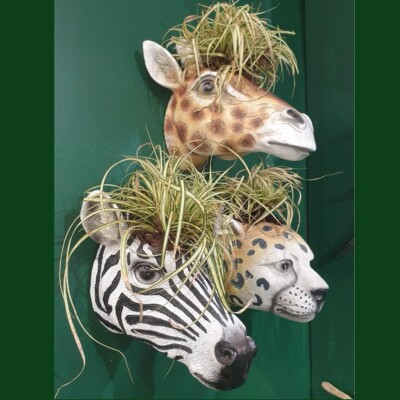 Resin Animal Head Shaped Plant Pot Wall Mounted Garden Cache Pot Safari ...