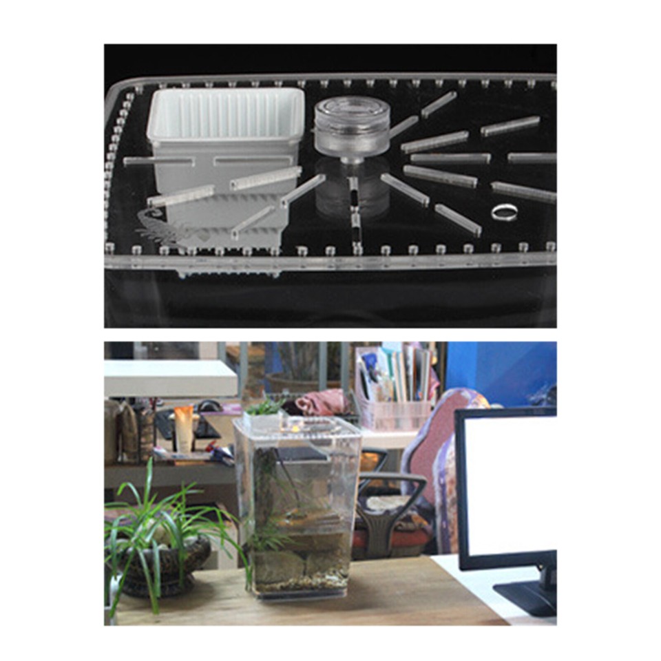 Large Acrylic Reptile Terrarium Gecko Lizard Spider Vivarium Enclosure ...