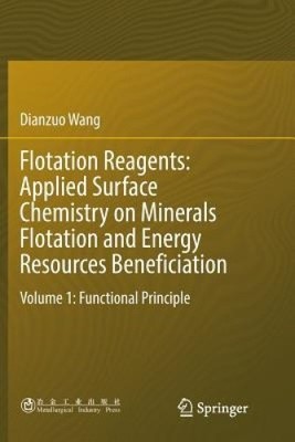 Flotation Reagents: Applied Surface Chemistry on Minerals Flotation and ...