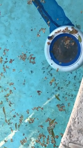 PoolSkim Automatic Swimming Pool Skimmer and Pool Cleaner | eBay