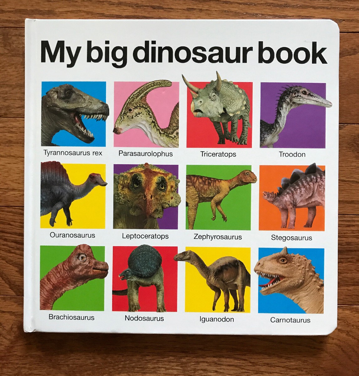 Nodosaurus Dinosaur Train