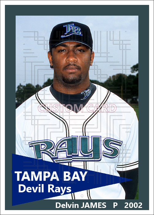 Delvin James - 2002 Tampa Bay Devil Rays - 2.5 x 3.5 custom card (blank ...