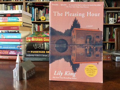 The Pleasing Hour A Novel by Lily King (Paperback 1999) VG 9780802143747| eBay