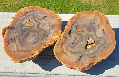 Kentucky Agate Geode - Estill County - Pair - Gray, Brown, Moss - Rock ...