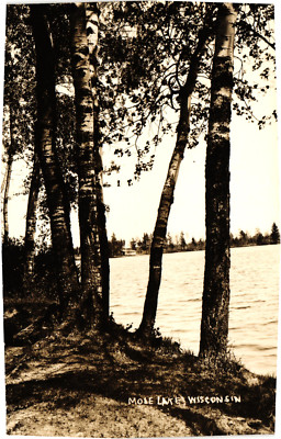 Mole Lake, Wisconsin RPPC Vintage Unposted Postcard | eBay