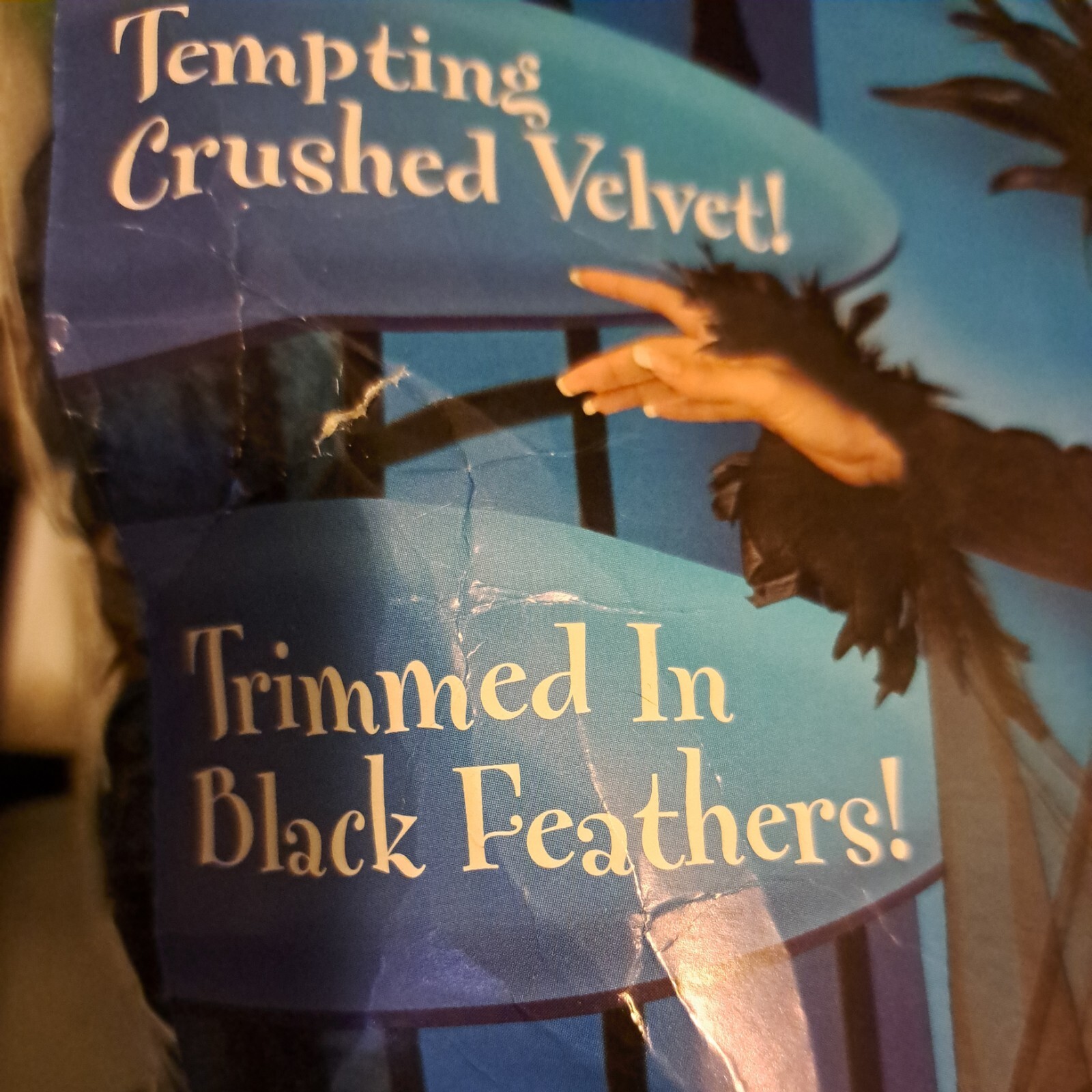 Vanessa Raven Of The Night Deluxe Costume Crushed Velvet Feather DRESS ...