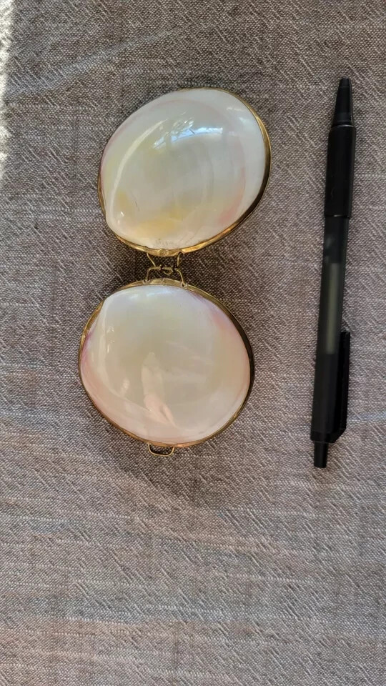 small clam shell jewelry box with gold trim | eBay