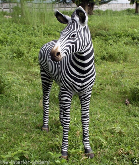 Zebra Statue - Baby Zebra Statue - Life Size Zebra Foal Statue - Indoor ...