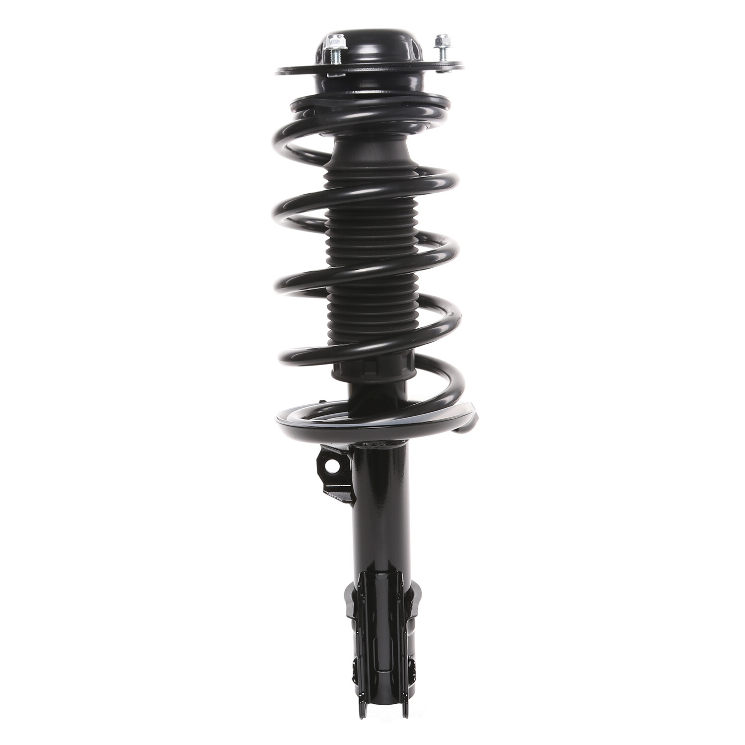 Carquest Premium Struts 18814962 - Suspension Strut and Coil Spring ...