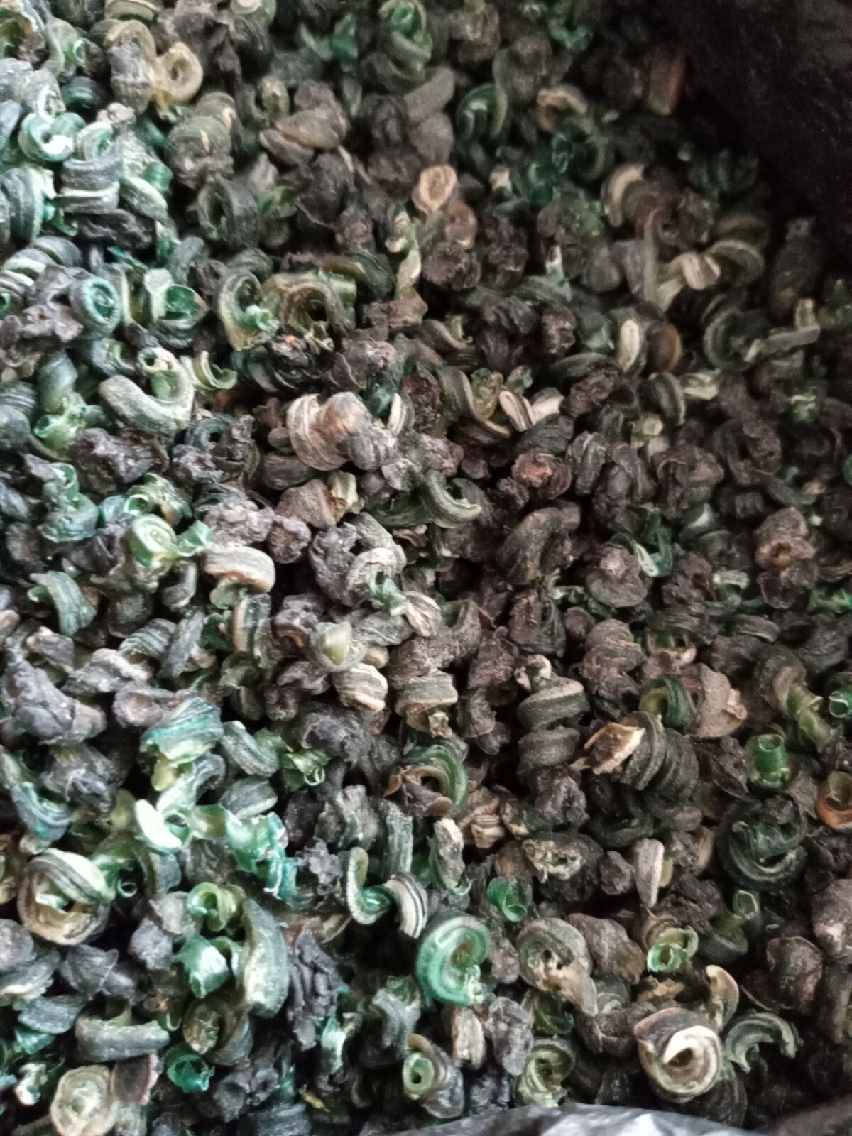 Dry periwinkle/Isam. Good to prepare delicious Nigerian soup.20g@£4.90 ...
