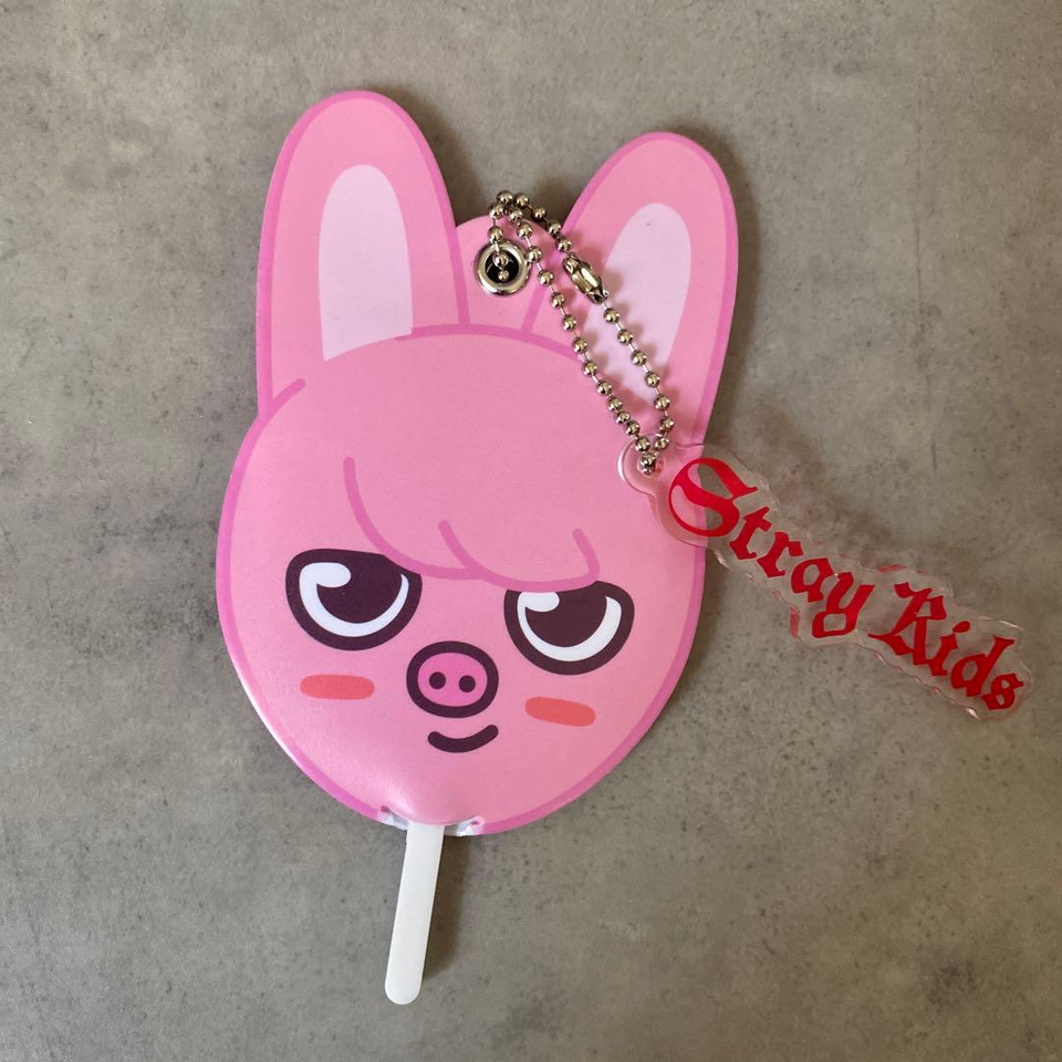 Stray Kids DWAEKKI Changbin Random Mini Image Picket Key Holder ...
