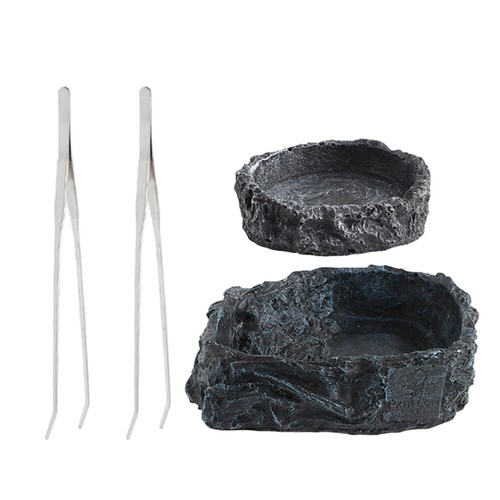 Animal Food Bowl Water for Reptile Tank Frog Dish Bearded Dragon ...