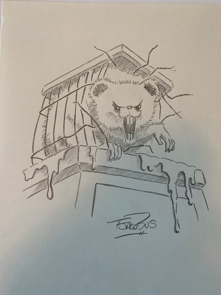 GOOSEBUMPS RAT ORIGINAL PENCIL ART SIGNED TIM JACOBUS | eBay