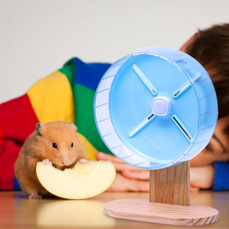 Hamster Sports Wheel Exercise Toys Pet Activity Structure Rotating ...