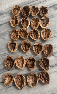 Walnut Shell Halves for Natural Ornaments, Crafting Parts, DIY Walnut ...
