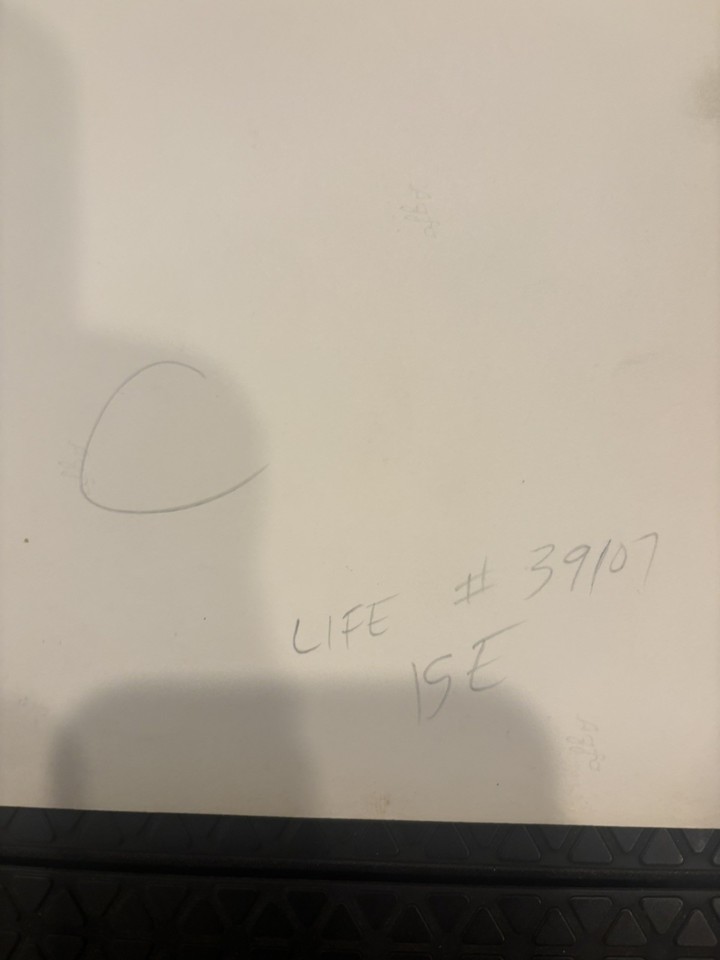 FAYE DUNAWAY (Mommie Dearest) Original Press Photo Signed by GEORGE ...