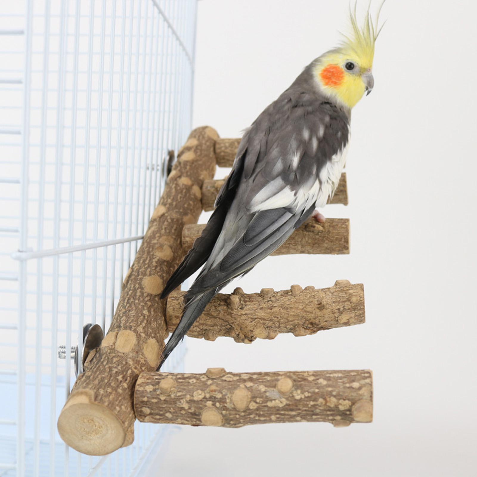 Bird Parrot Ladder Perch Cage Decor Habitat Décor Bird Perches Platform ...