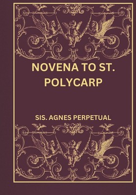 Novena to St. Polycarp by Sis Agnes Perpetual Paperback Book | eBay